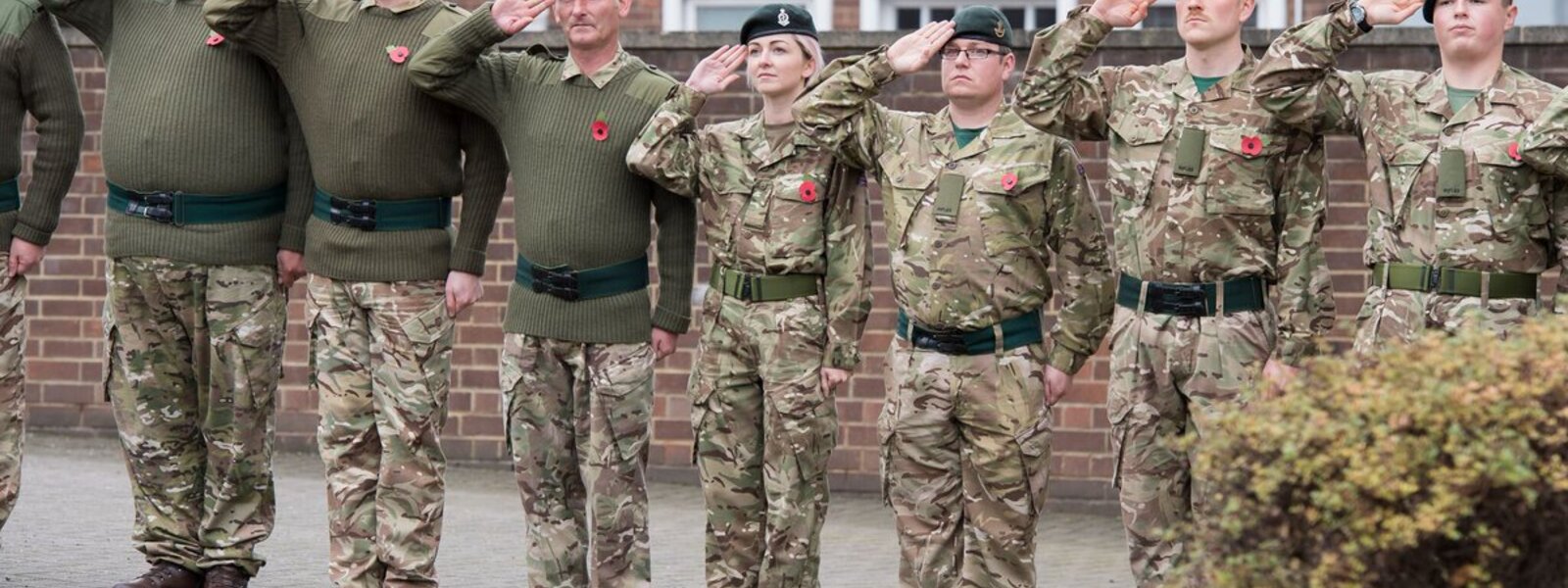 -default.jpg?1510912157