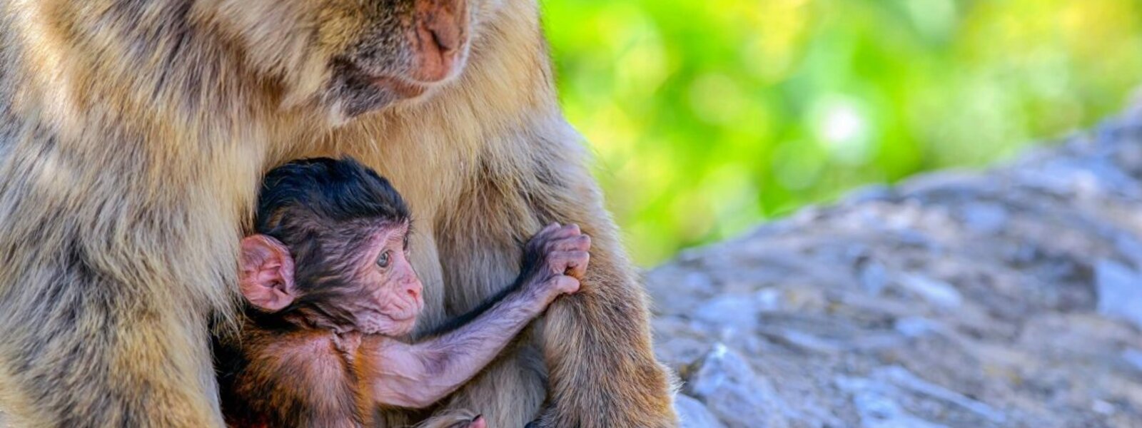 -default.jpg?1663587458