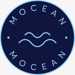 A Private Networking Platform for Yachting Professionals | MOCEAN
