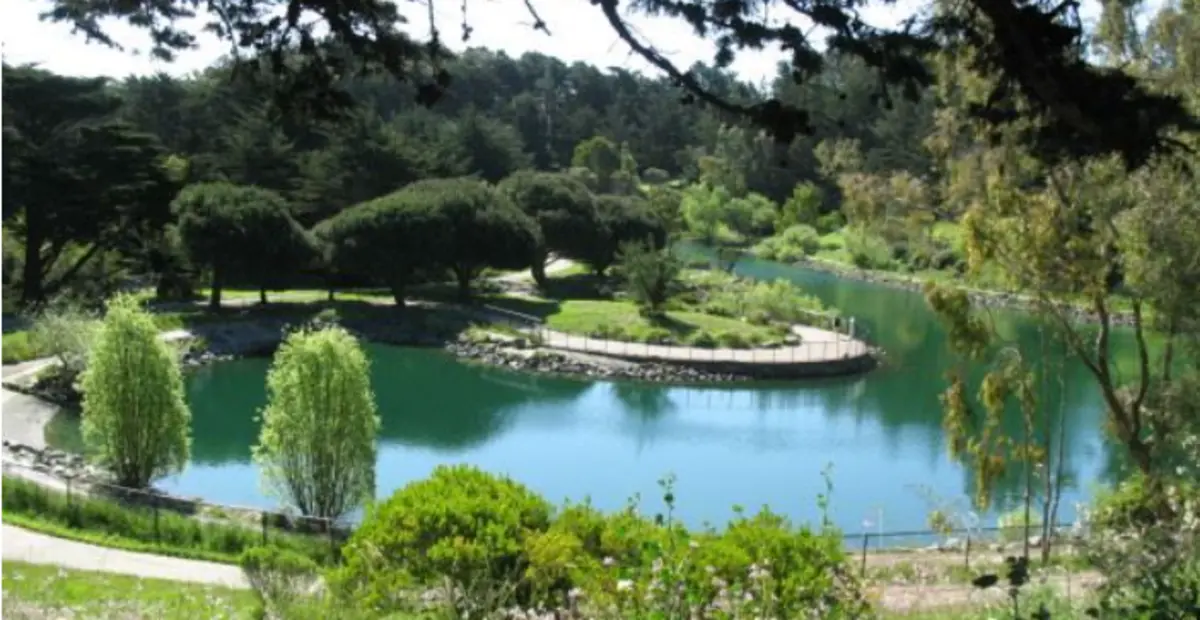 Hike - Glen Park, Twin Peaks, Mount Sutro, Noe Valley, Bernal Heights ...